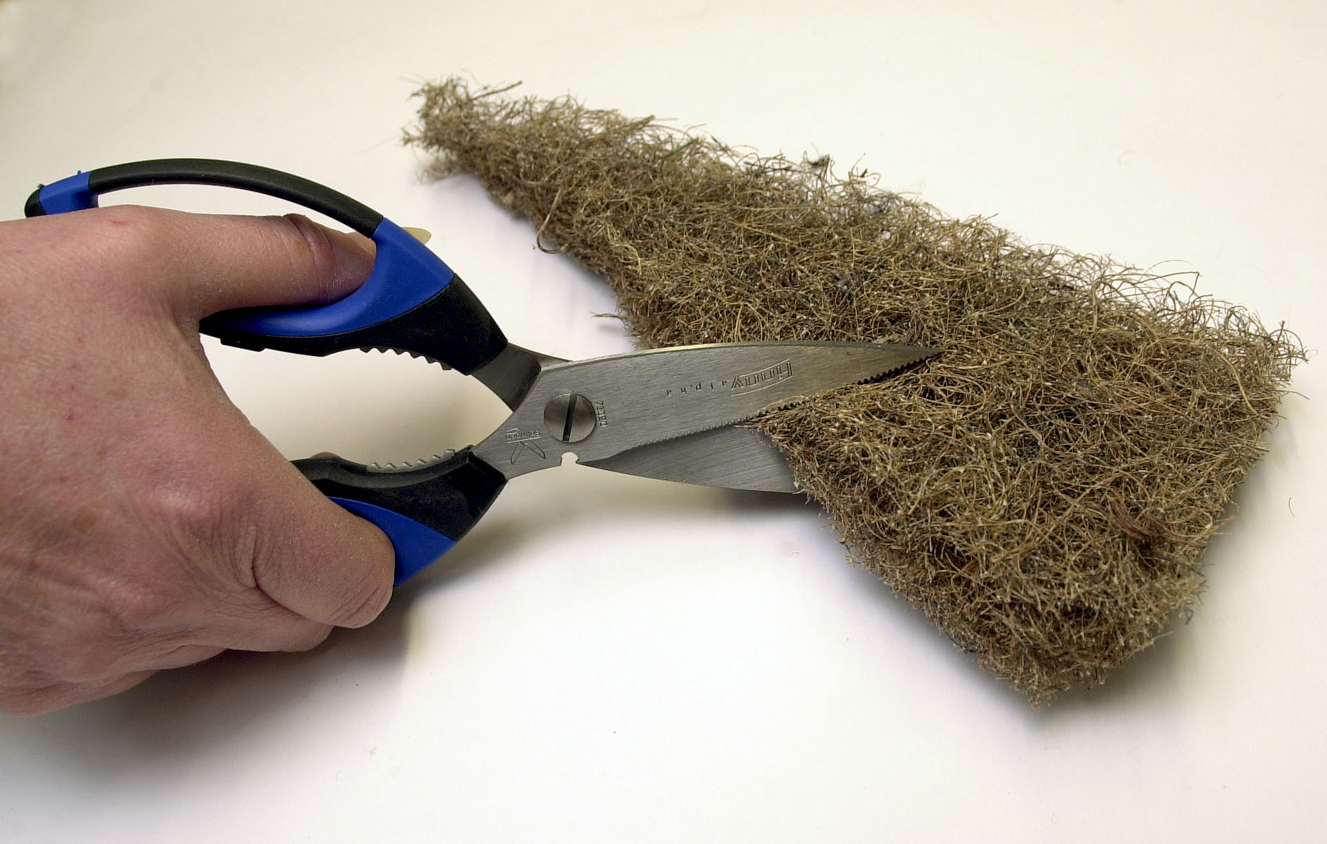 Scissors - Buy Online - J A Milton